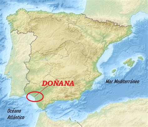 Doñana y la clave de su posición geográfica Doñanatour
