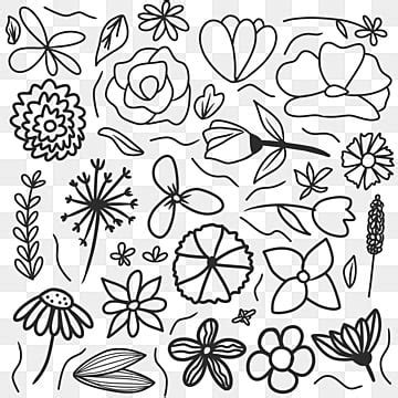 Flower Doodle PNG Vector PSD And Clipart With Transparent Background