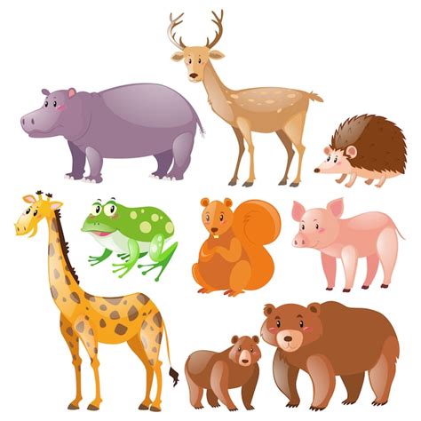 Coleção dos animais colorido Vetor Premium