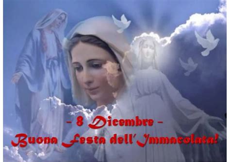 Dicembre Buona Festa Dellimmacolata Le Immagini Video Frasi