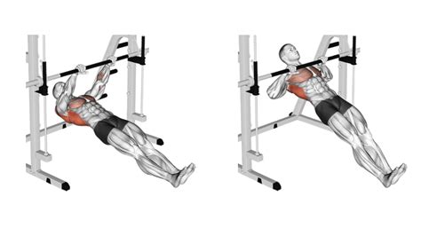 Tractions Australiennes Muscu Street Et Crossfit