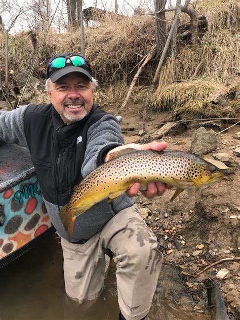 Fly Fishing Thrills On White River Norfork Tailwaters