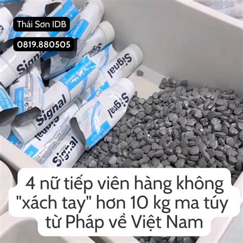 4 nữ tiếp viên hàng không xách tay hơn 10 kg ma túy từ Pháp về Việt Nam