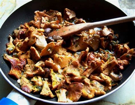 Funghi Trifolati In Padella I Prelibati Finferli Un Contorno Saporito