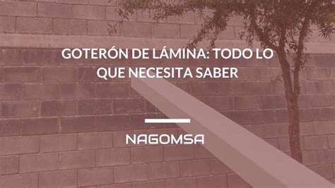 Goterón De Lámina Todo Lo Que Necesita Saber