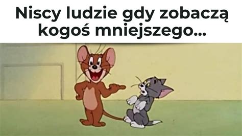 Dzienna Dawka Mem W Polskie Memy Memy Po Polsku Youtube