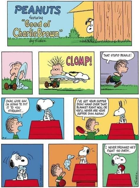 Pin By Susan Stewart On Snoopy And The Gang 5 Snoopy Funny