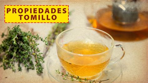 PROPIEDADES INCREIBLES Del TOMILLO Para La GARGANTA Y La TOS YouTube