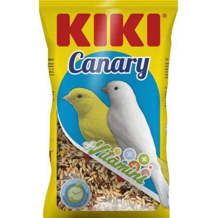Soluciones Para Recuperar El Canto De Tu Canario