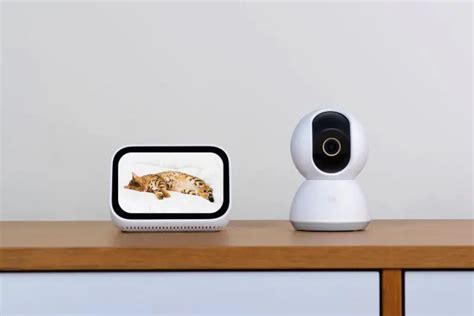 Cámaras De Seguridad Confiables E Inteligentes Protegiendo Lo Que Más