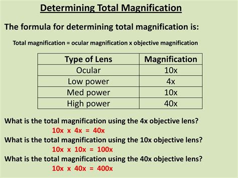 How To Calculate The Magnification Of A Microscope Atelier Yuwa Ciao Jp