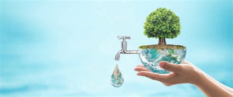 Por qué es tan importante el cuidado del agua y ahorrarla
