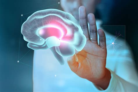 Neuropsicología qué es y sus enfoques Psicolink Psicólogos Madrid