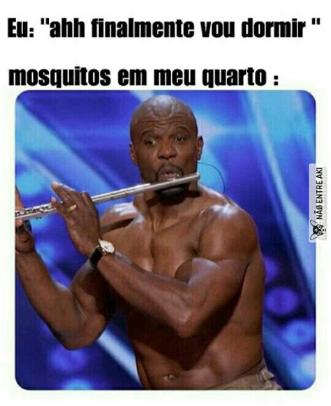 35 memes engraçados para deixar a sua semana mais alegre