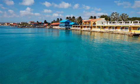Divi Flamingo Beach Resort Bonaire Group Trip 2025 Saguaro Scuba