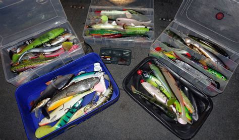 Comment pêcher le brochet au leurre souple type big bait