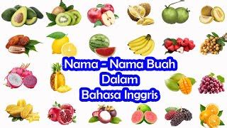 Mengenal Nama Buah Buahan Dalam Bahasa Inggris L Fruit Doovi