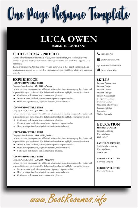 Professional Resume Cv Templates Bestresumes Co Artofit