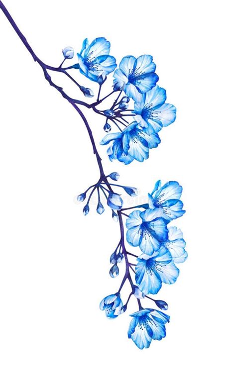 Álbum 200 flores azules con blanco Abzlocal mx