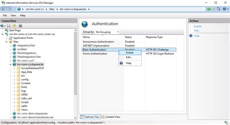 How To Enable Basic Authentication For The Connector