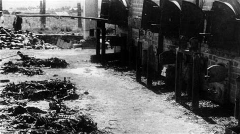 Liberación de Auschwitz la dramática historia de los Sonderkommandos