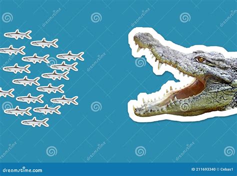 Escuela De Peces Escapando Del Depredador Crocodile Jaws Ilustración