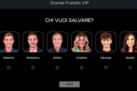 Grande Fratello Vip 2022 Nessun Eliminato Chi Sono I Sei Concorrenti