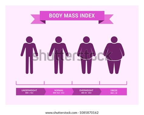 Body Mass Index Chart Vector Medical