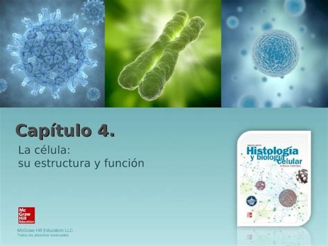 PPT McGraw Hill Education LLC Todos los derechos reservados CAPÍTULO