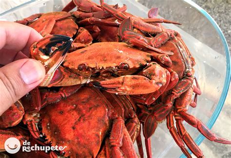 Cómo cocer y abrir nécoras Receta de marisco De Rechupete