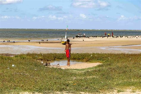 O que fazer na Ilha do Marajó Soure e Salvaterra Além da Curva