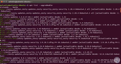 C Mo Usar Comando Apt En Linux Solvetic
