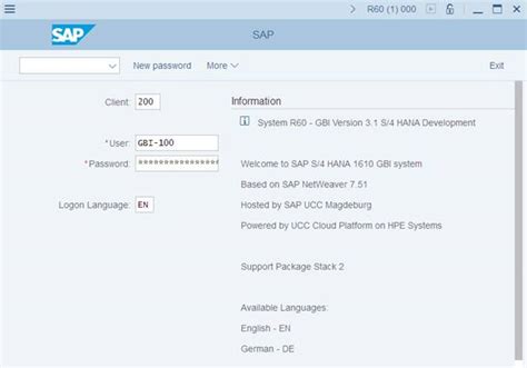 SAP Logon Assignment Help By Online Tutoring Sessions