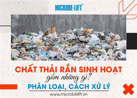 Chất thải rắn sinh hoạt gồm những gì Phân loại cách xử lý Microbe Lift