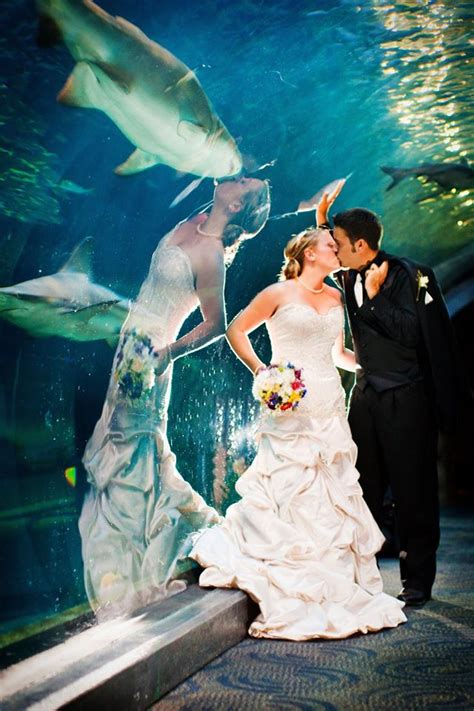 31 Most Embarrassing Moments Which Are Caught On Camera