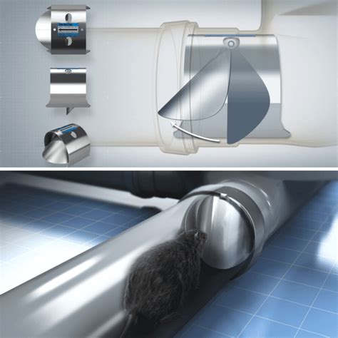 Rat Flap Installation Unbeatable Drain Cleaning