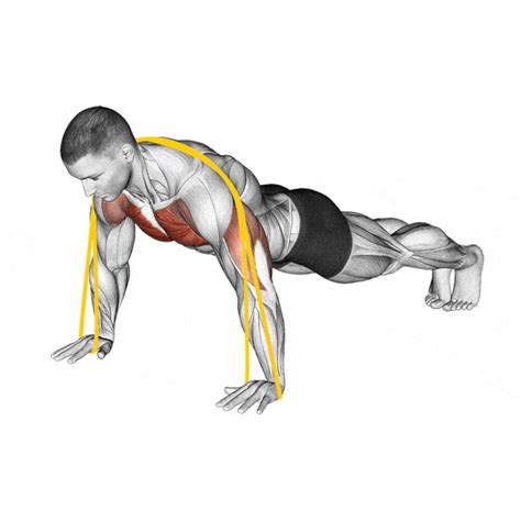 Pompes Exercices Body Burn
