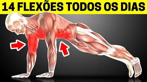 14 Variações de Flexão de Braço para Treino de peito em casa Melhores