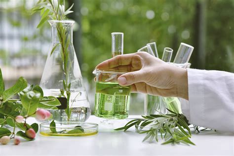 Plantas medicinais e o seu uso na alimentação saudável Vida Rural