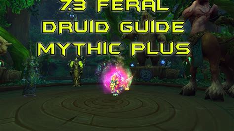 Feral Druid Guide