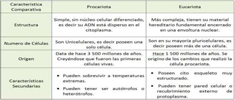 Cuadros Comparativos Entre Clula Procariota Y Eucariota