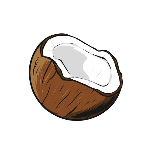 Dibujo Vectorial De Coco Vector En Vecteezy