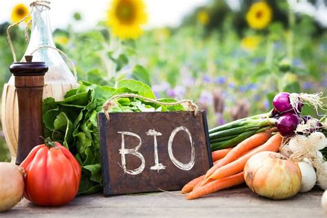 Por Qu Consumir Productos Ecol Gicos Certificados El Botiqu N Natural