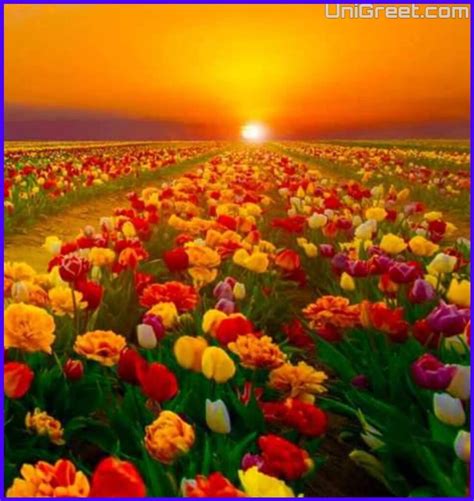 Top 999 Good Images For Whatsapp Dp Amazing Collection Good Images