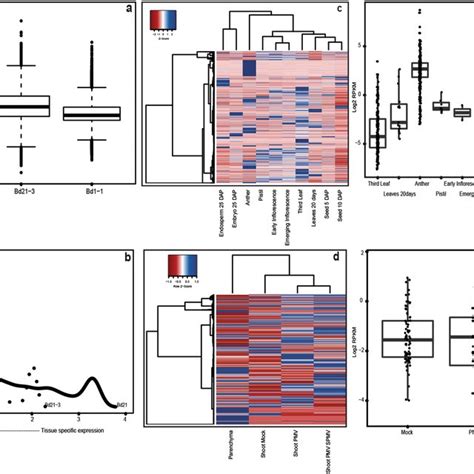 Transcriptome Analysis Pipeline For Isoform Sequencing Schematic