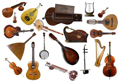 Los Instrumentos de Cuerda Guía completa 2024