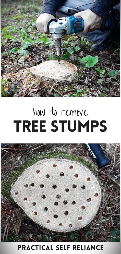 How To Rot A Tree Stump Fast Artofit