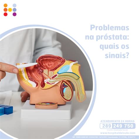 Prostate Problems What Are The Signs Centro Cl Nico De Almancil