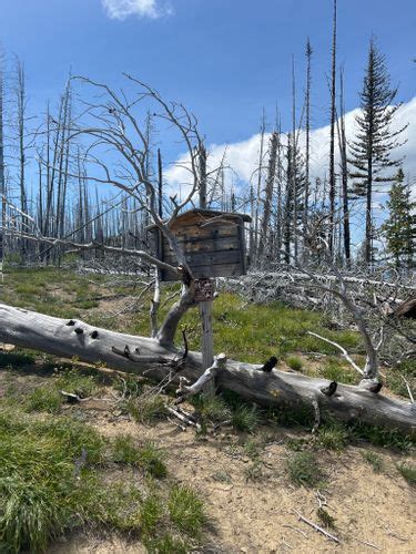 2023 Best 10 Off Road Driving Trails In Cle Elum AllTrails