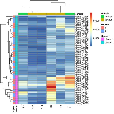 Heatmap R
